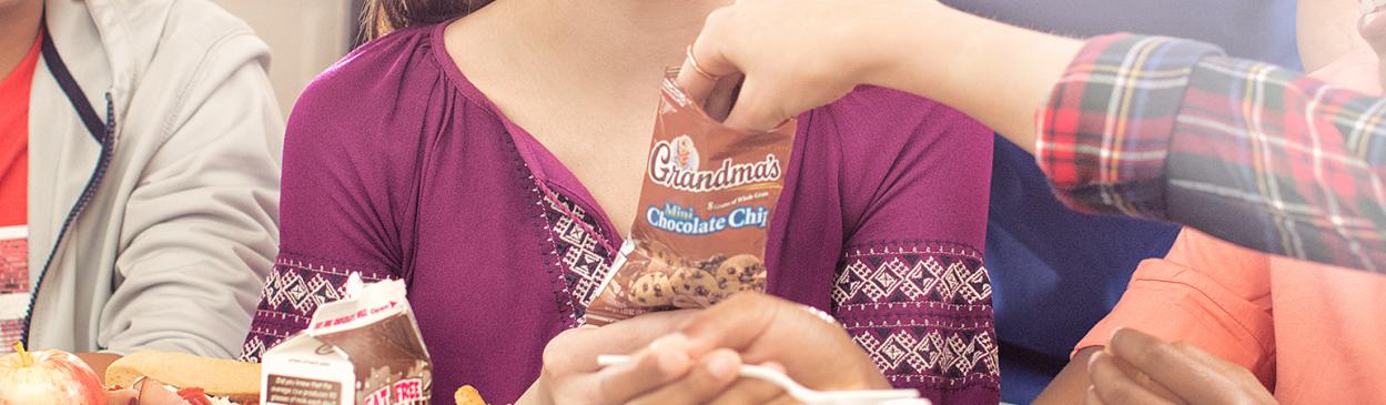 Grandma's® Mini Bites Blueberry Vanilla Naturally Flavored Mini Bites ...